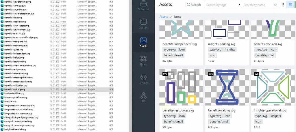[SOLVED] Problems with updating SVG File in Assets - Solved Bugs - Squidex Support