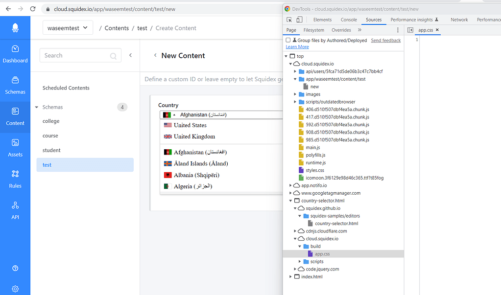 App CSS is not getting loaded | Custom Editors - Support - Squidex Support